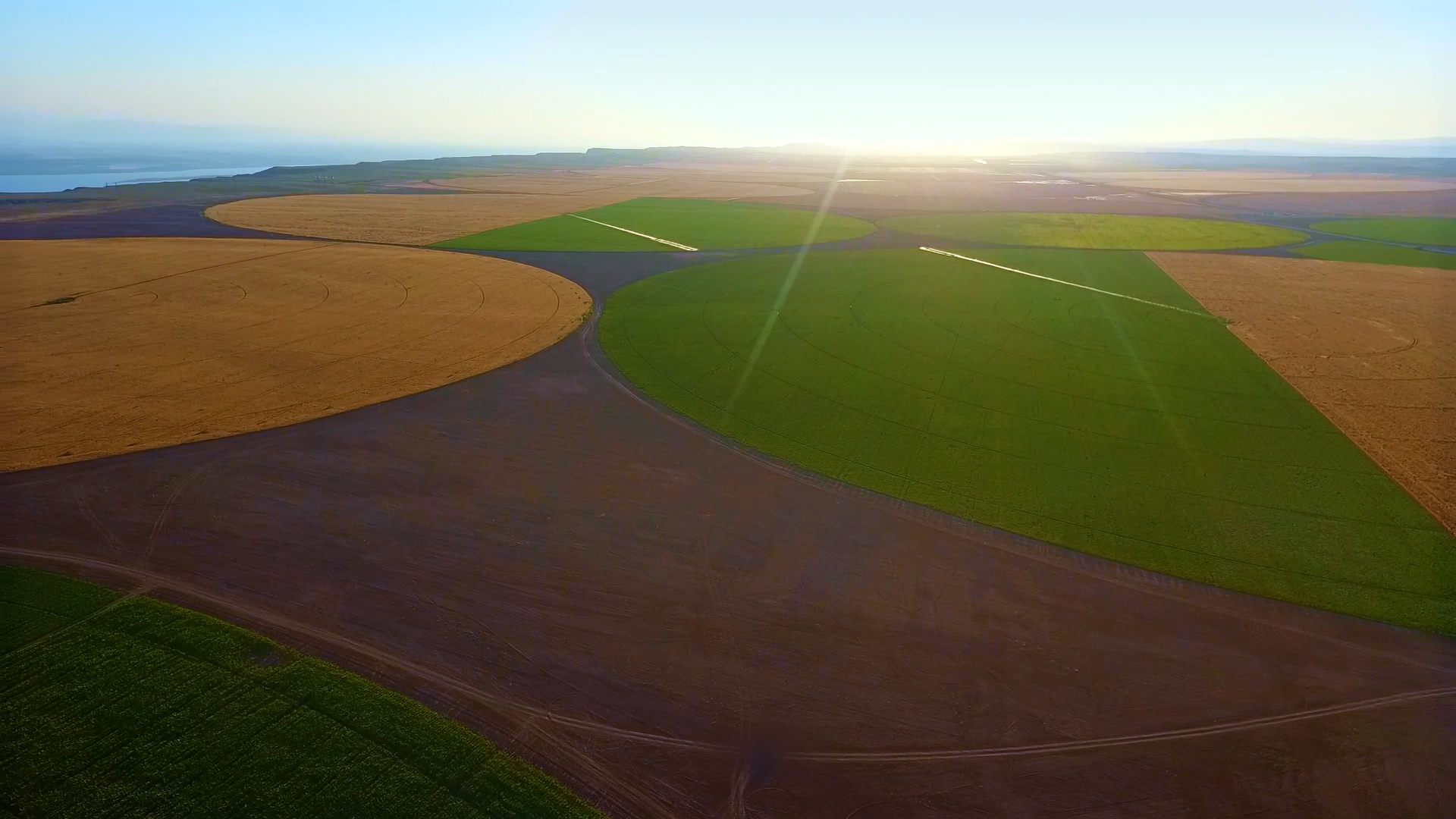 Kənd təsərrüfatına yeni nəfəs gətirən “Azərşəkər” MMC 5 illiyini qeyd ...