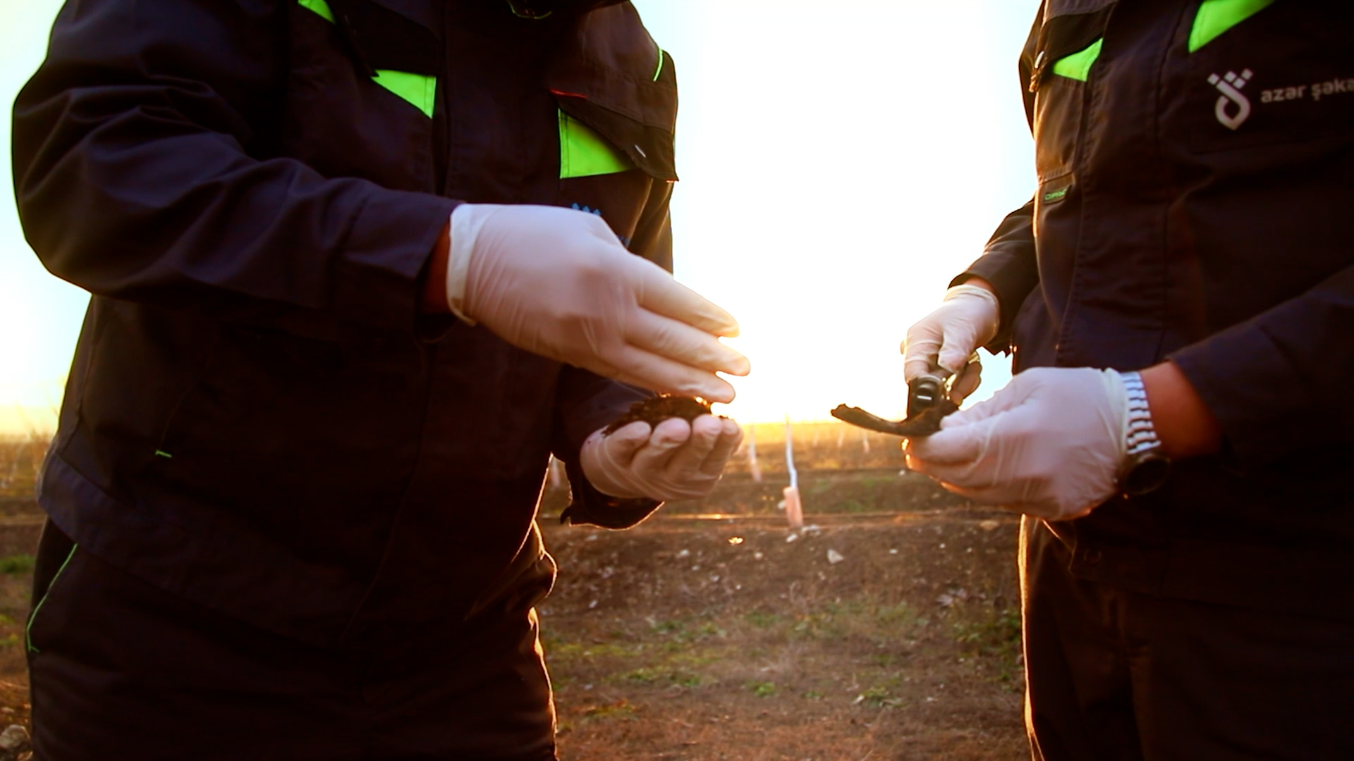 Kənd təsərrüfatına yeni nəfəs gətirən “Azərşəkər” MMC 5 illiyini qeyd ...