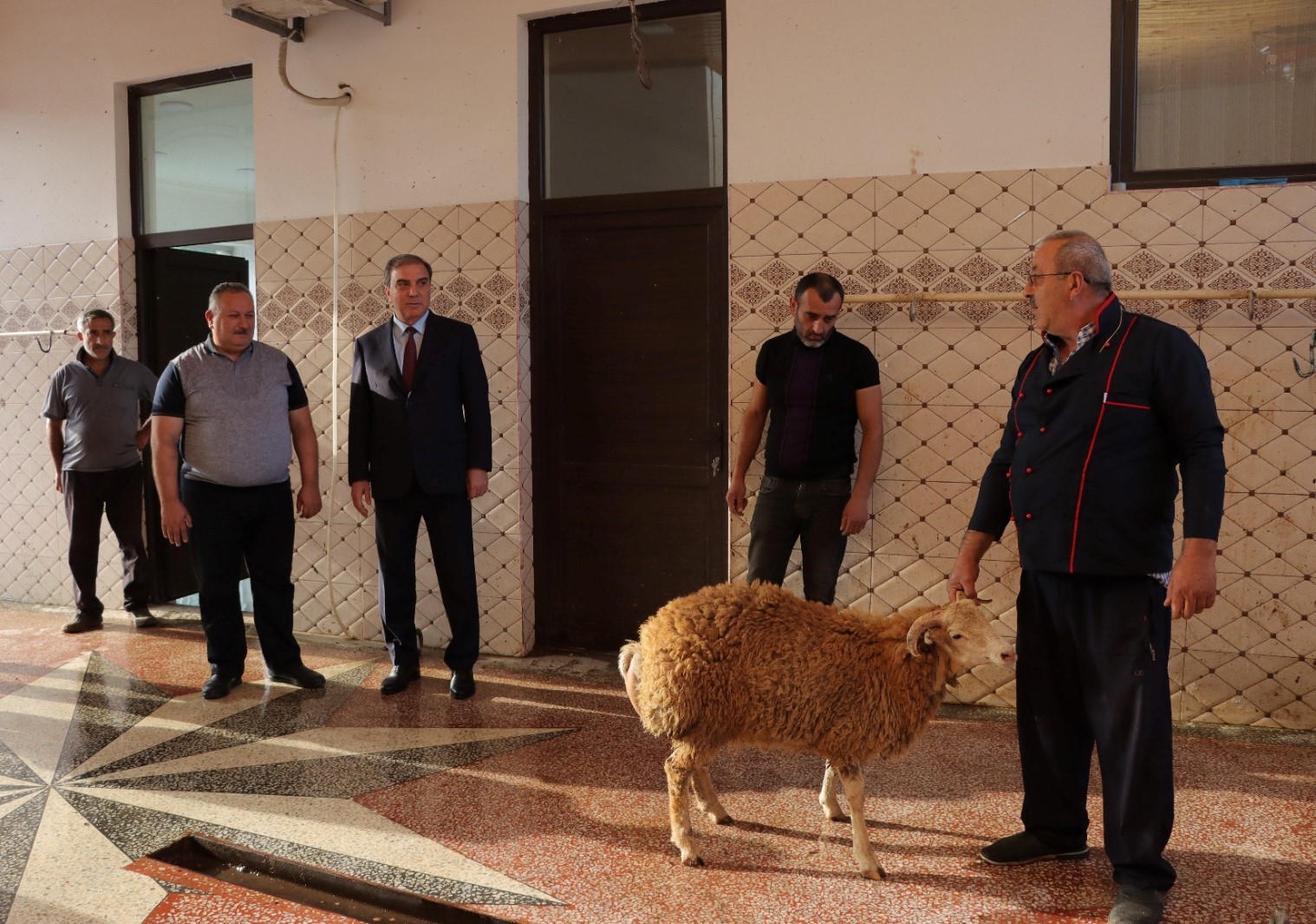 Gəncədəki heyvan satışı və kəsimi məntəqələrində yoxlama aparıldı — Fotolar